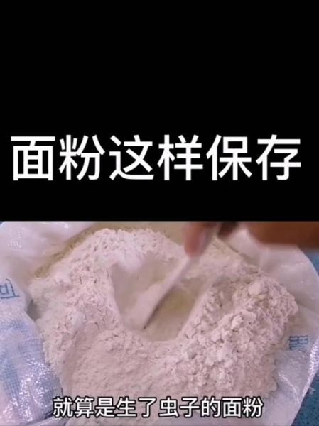 米面怎么保存不长虫_米面生虫还能吃吗-第3张图片-山城妙识 米面怎么保存不长虫_米面生虫还能吃吗-第3张图片-山城妙识