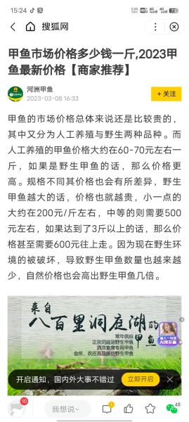 野生甲鱼图片怎么分辨_野生甲鱼多少钱一斤-第1张图片-山城妙识 野生甲鱼图片怎么分辨_野生甲鱼多少钱一斤-第1张图片-山城妙识