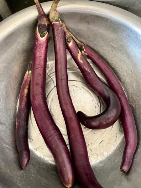 茄子怎么晒干好吃_茄子干怎么做才香-第3张图片-山城妙识 茄子怎么晒干好吃_茄子干怎么做才香-第3张图片-山城妙识