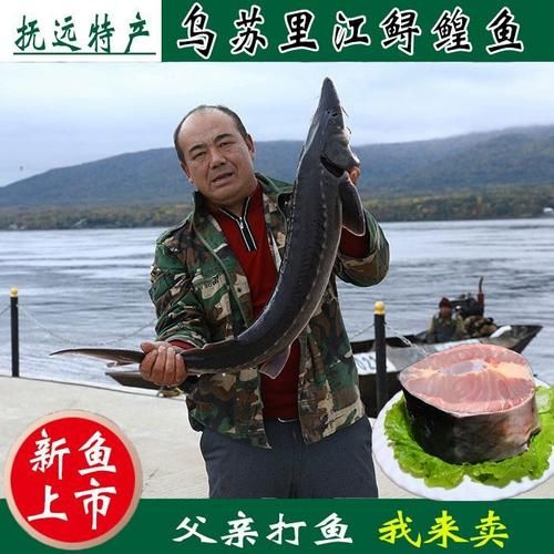 鲟鳇鱼肉多少钱一斤_哪里买最划算-第3张图片-山城妙识 鲟鳇鱼肉多少钱一斤_哪里买最划算-第3张图片-山城妙识