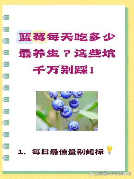 蓝莓怎么吃最营养_蓝莓一天吃多少粒最好-第3张图片-山城妙识