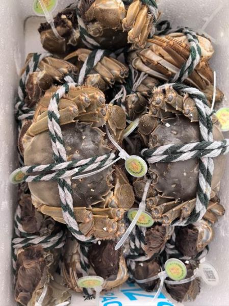 螃蟹蘸料怎么调_螃蟹蘸料配方大全-第3张图片-山城妙识 螃蟹蘸料怎么调_螃蟹蘸料配方大全-第3张图片-山城妙识