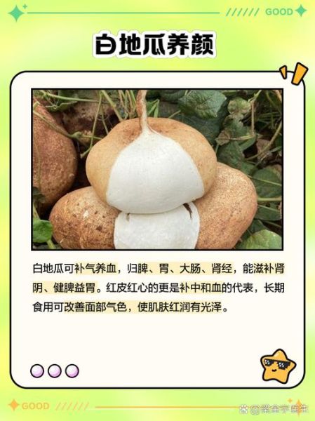 白瓜图片的功效与作用_白瓜怎么吃最养生-第1张图片-山城妙识 白瓜图片的功效与作用_白瓜怎么吃最养生-第1张图片-山城妙识