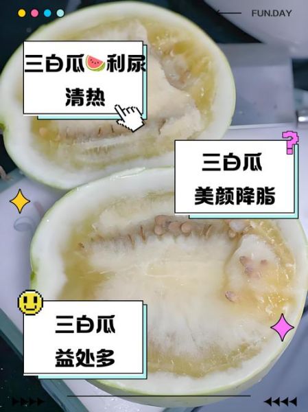 白瓜图片的功效与作用_白瓜怎么吃最养生-第2张图片-山城妙识 白瓜图片的功效与作用_白瓜怎么吃最养生-第2张图片-山城妙识