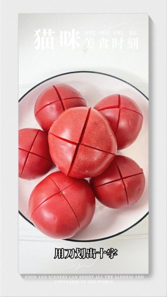 番茄酱怎么做_番茄酱的做法大全-第2张图片-山城妙识 番茄酱怎么做_番茄酱的做法大全-第2张图片-山城妙识