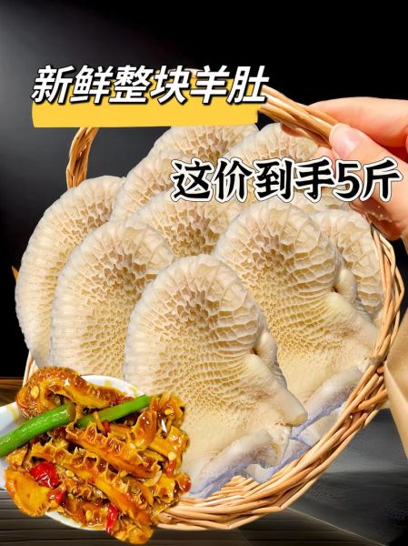 生羊肚煮多长时间能熟_羊肚焯水多久才脆嫩-第1张图片-山城妙识 生羊肚煮多长时间能熟_羊肚焯水多久才脆嫩-第1张图片-山城妙识