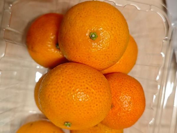 砂糖图片_如何拍出高级感-第3张图片-山城妙识 砂糖图片_如何拍出高级感-第3张图片-山城妙识