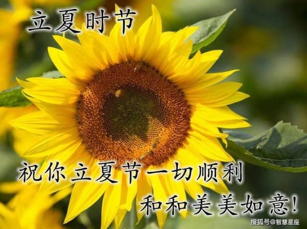 立夏祝福语怎么写_立夏祝福语有哪些-第2张图片-山城妙识 立夏祝福语怎么写_立夏祝福语有哪些-第2张图片-山城妙识