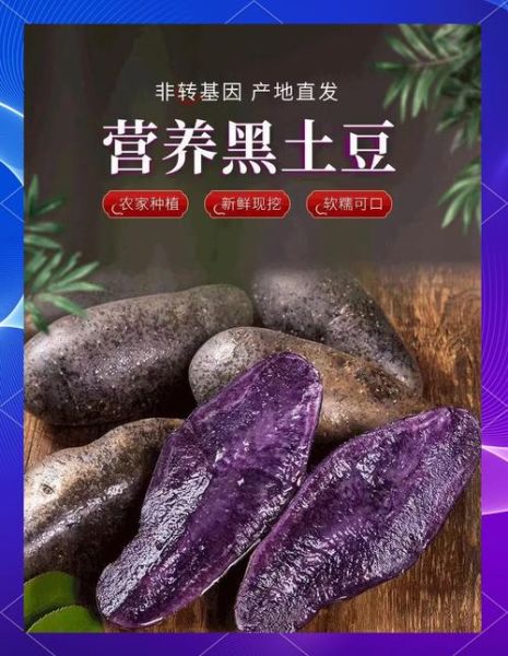 黑土豆怎么做_黑土豆的营养价值-第1张图片-山城妙识 黑土豆怎么做_黑土豆的营养价值-第1张图片-山城妙识
