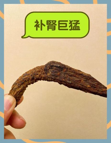 喝什么茶壮阳最好最快_男人壮阳茶推荐-第3张图片-山城妙识 喝什么茶壮阳最好最快_男人壮阳茶推荐-第3张图片-山城妙识